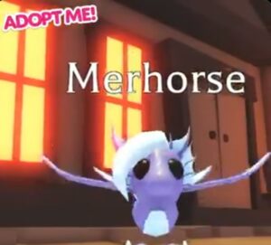 [Updated] Adopt Me Merhorse Worth : What is it ? - Android Gram