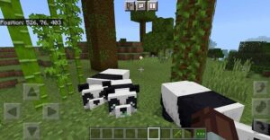How to breed Pandas in Minecraft? - Android Gram