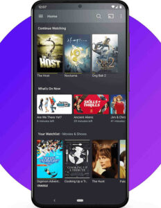 Plex not working on Firestick: Fixes & Workarounds - Android Gram